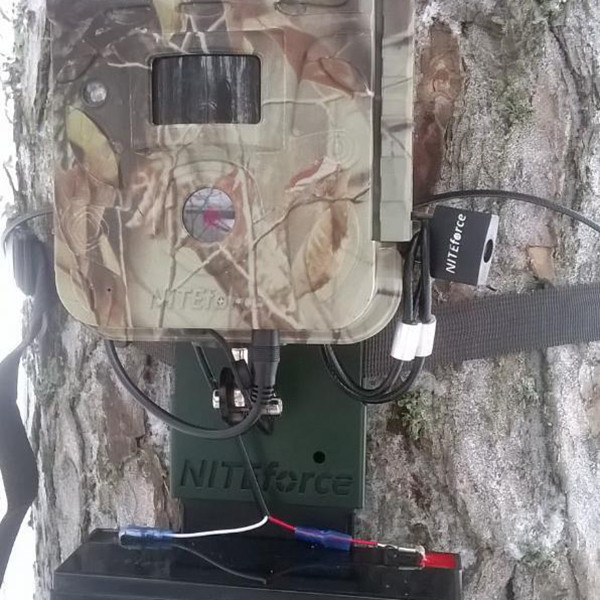 NITEforce Trail Camera Locking Cable, 145 cm